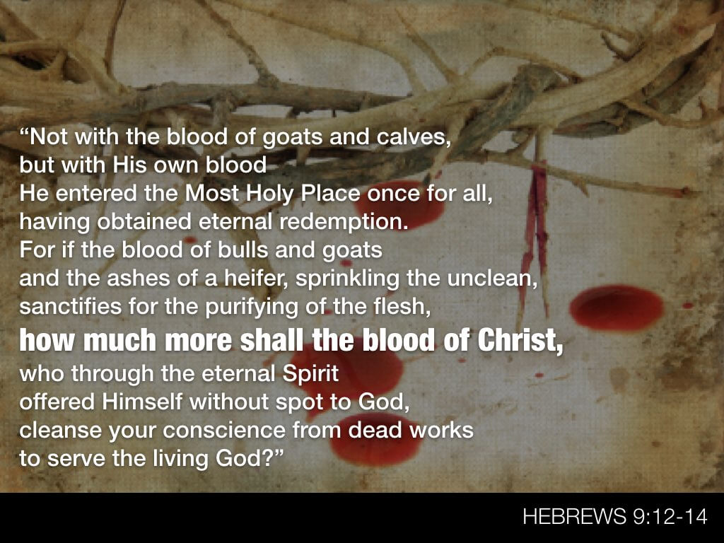 THE MOST IMPORTANT WASHING – PINS OF LIGHT